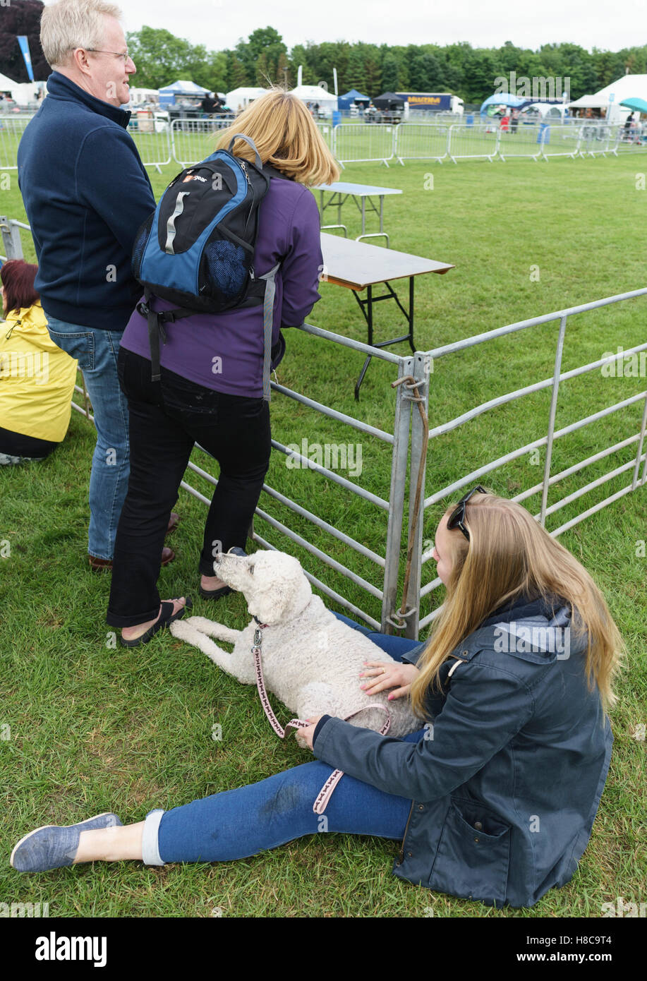 Border union showground hi-res stock photography and images - Alamy