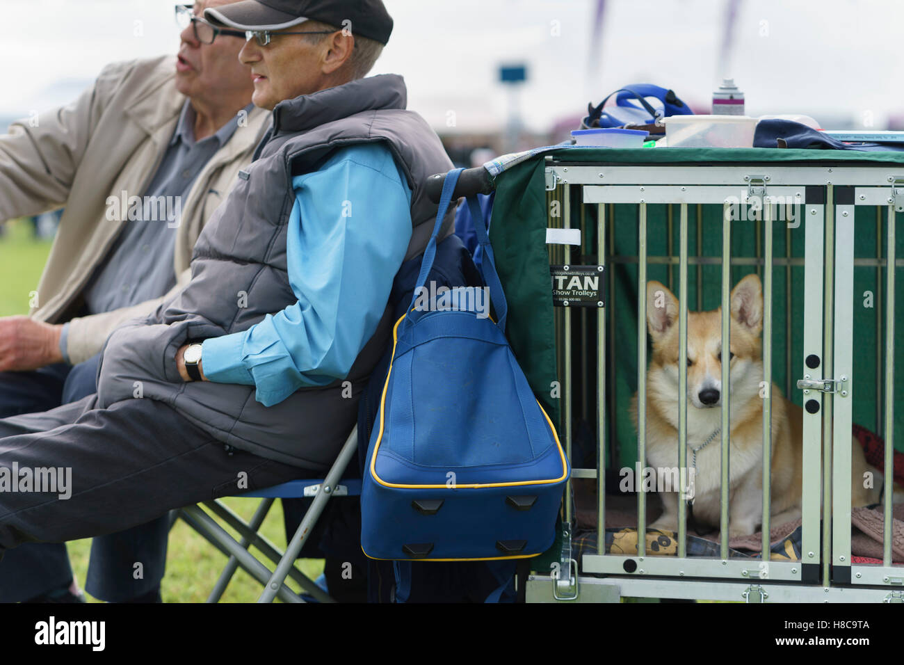 It's a dog's life - at the Border Union showground in Kelso ...