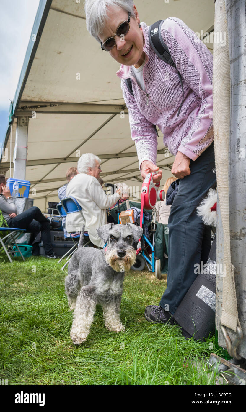 It's a dog's life - at the Border Union showground in Kelso ...