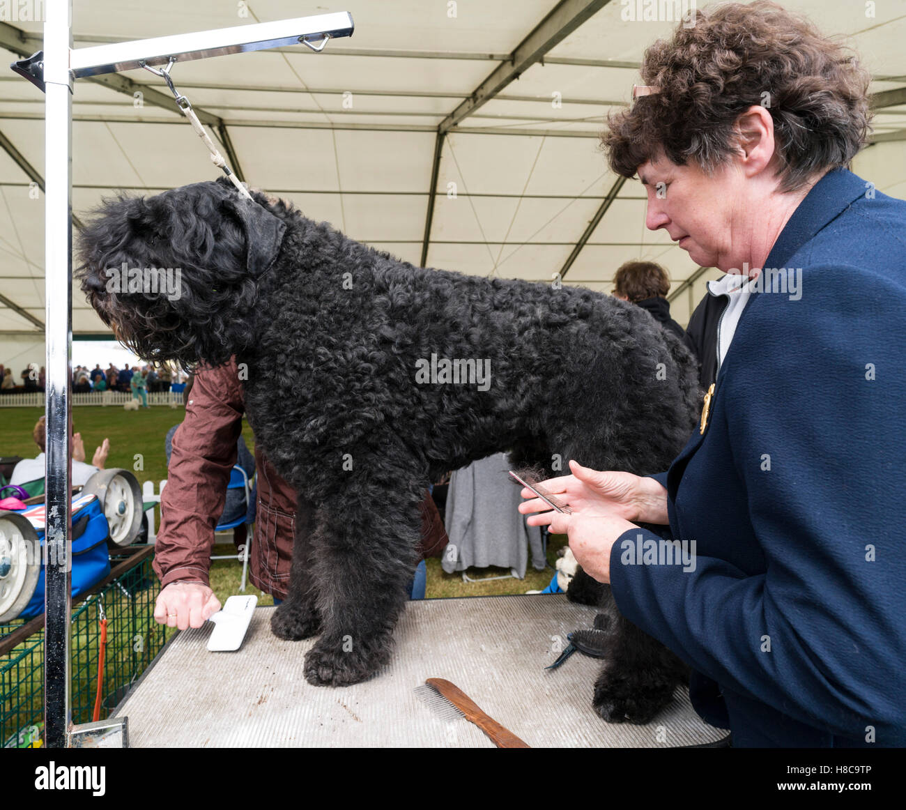 Border union showground kelso hi-res stock photography and images - Alamy