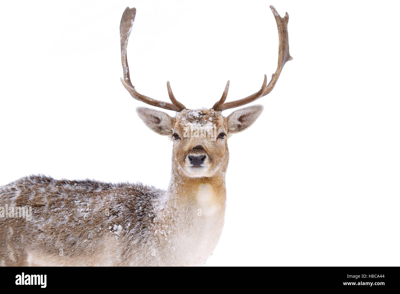 Outdoor poses hi-res stock photography and images - Alamy