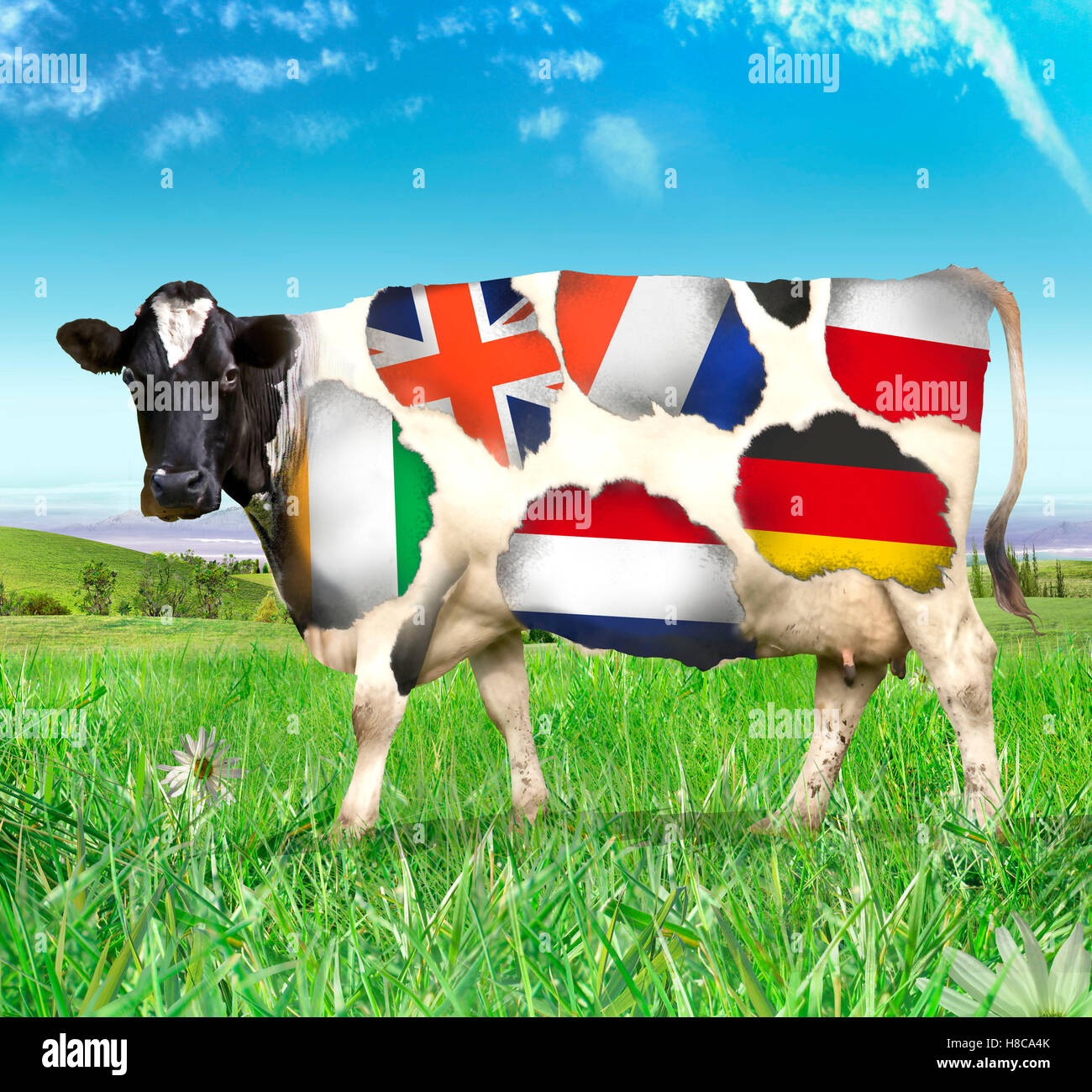 Cow field drawing hi-res stock photography and images - Alamy