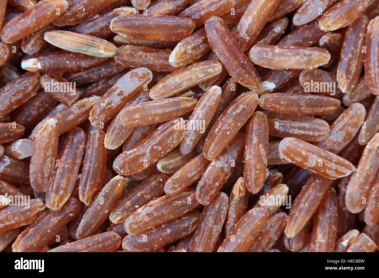 pile of organic brown rice for the nature food background,grain rice is ...