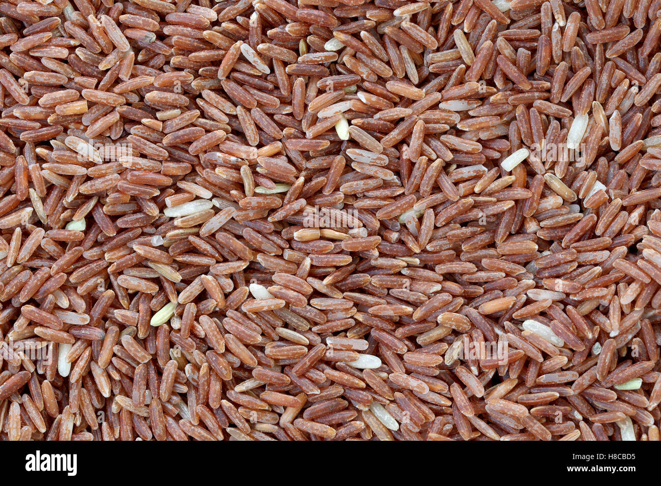 pile of organic brown rice for the nature food background,grain rice is ...