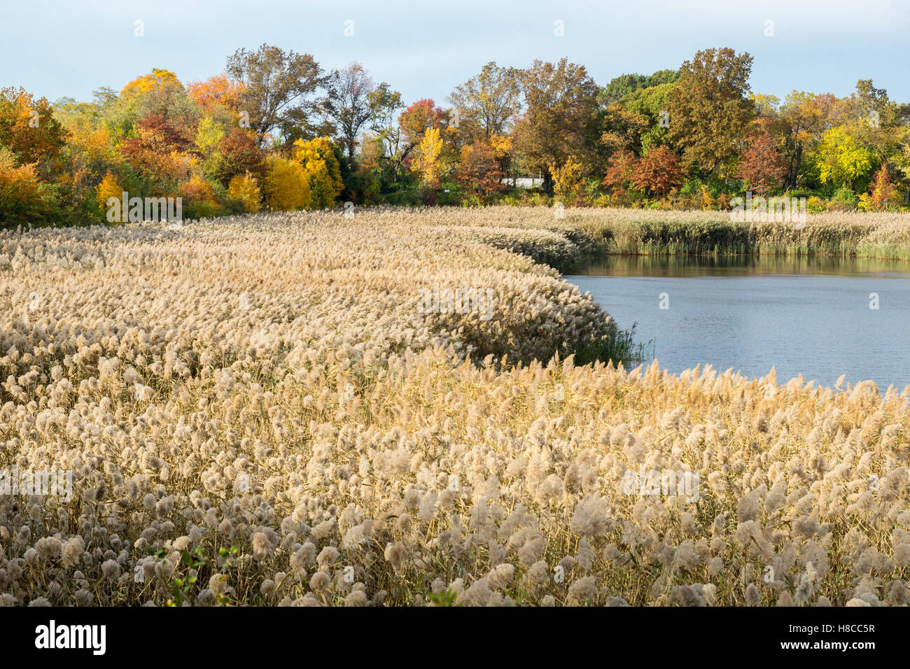 The Ridgewood Reservoir in Highland Park in Brooklyn in New York on ...