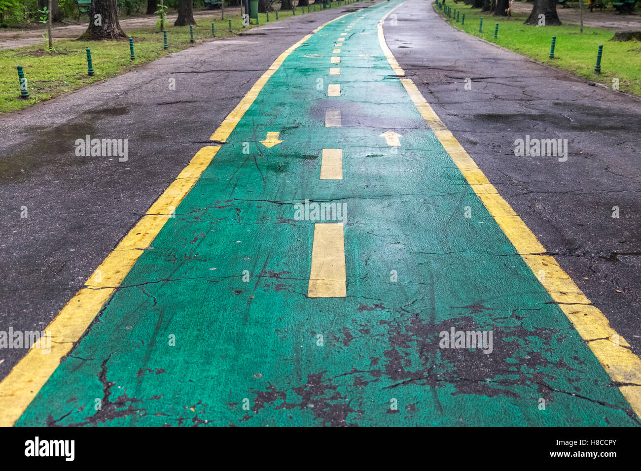 Bicycle road in park Stock Photo - Alamy