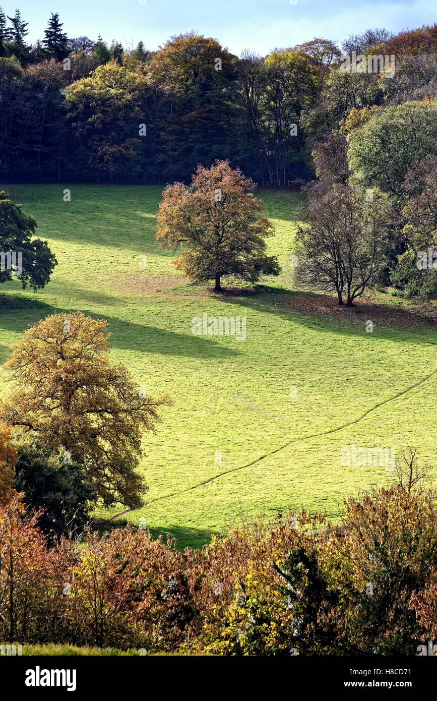 Surrey autumn colours landscape hi-res stock photography and images - Alamy