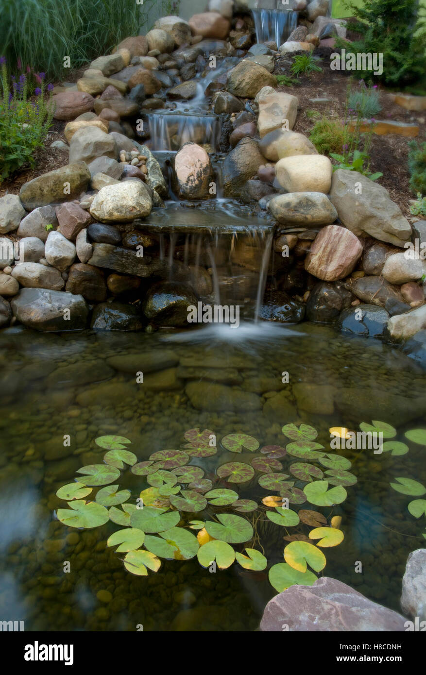 Water trickling into pond with stones and floating leaves in backyard ...