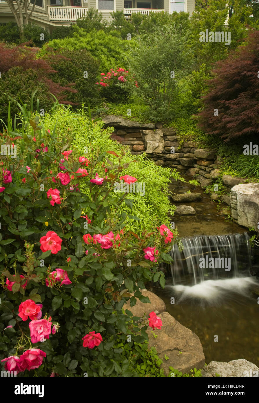 Rose Garden With Waterfall Rose 'Waterfall Collection' (Drift)