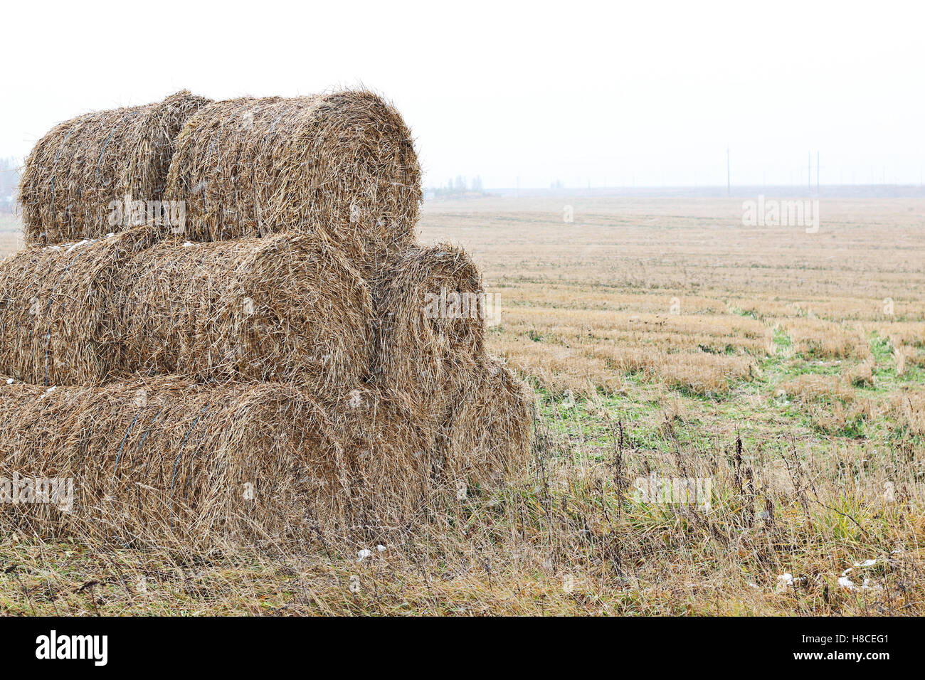 Fall field straw stack Stock Photo - Alamy