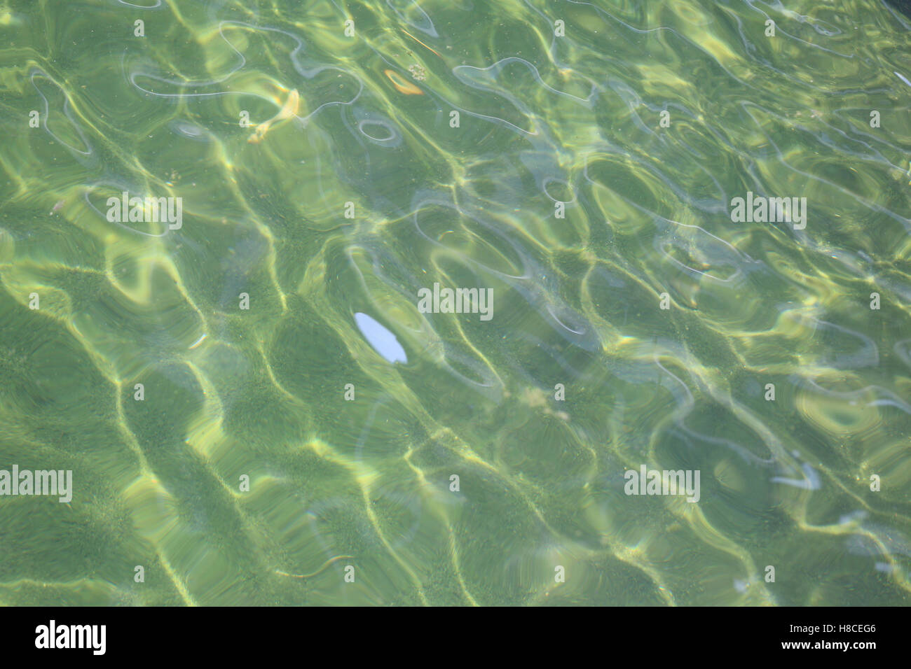 Abstract Green water in pond for the design background Stock Photo - Alamy