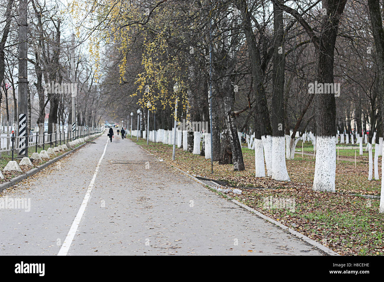 Perspective sidewalk in the park Stock Photo - Alamy