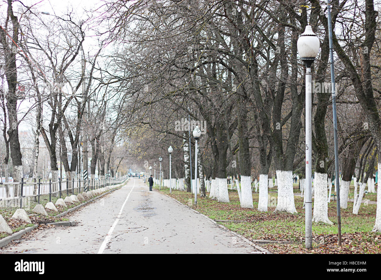 Perspective sidewalk in the park Stock Photo - Alamy