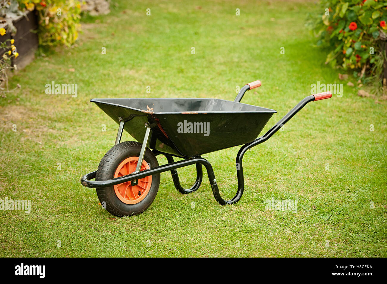gardeners wheelbarrow standing on a lawn Stock Photo - Alamy