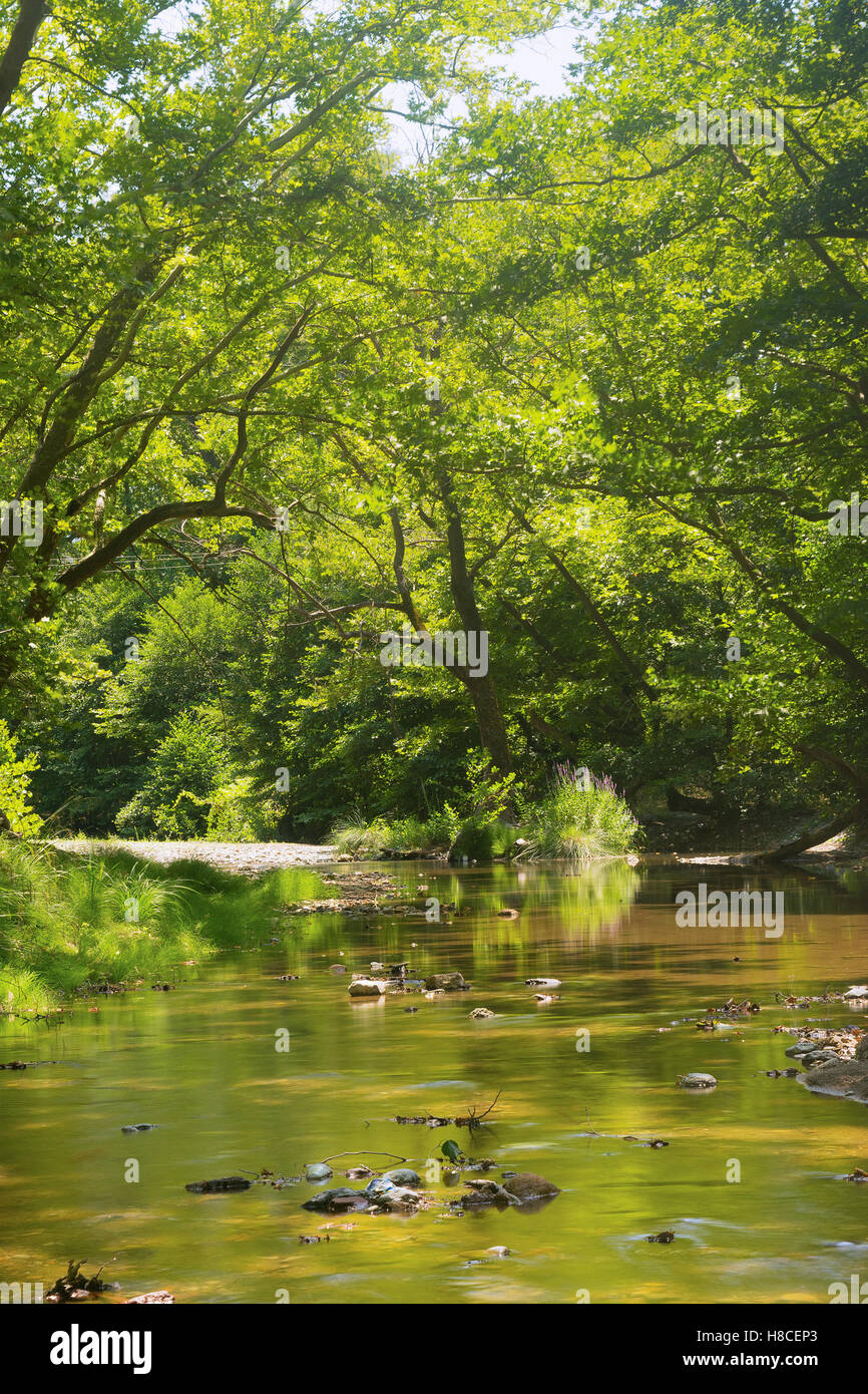 Prokopi hi-res stock photography and images - Alamy