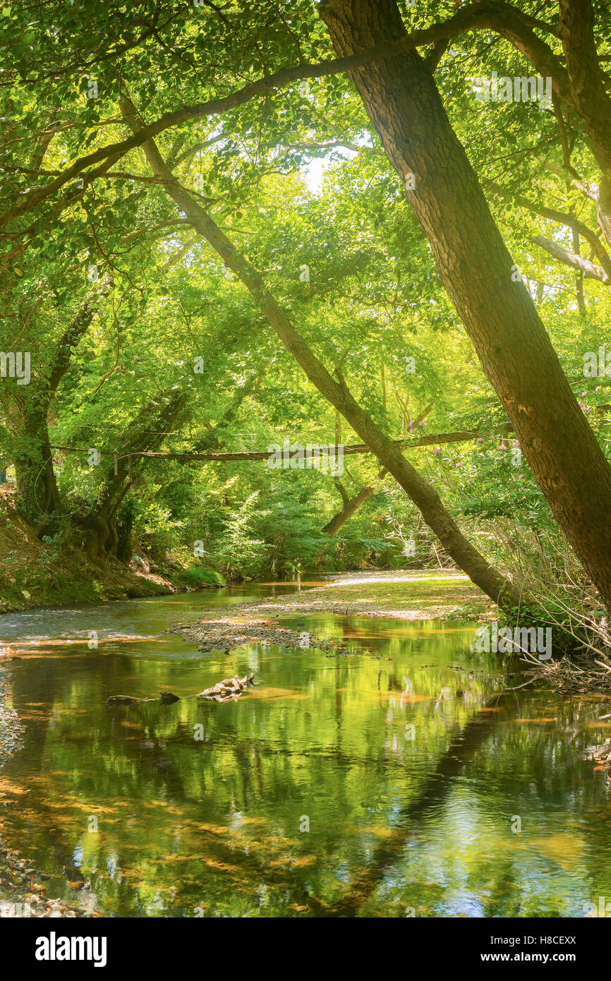 Euboea hi-res stock photography and images - Alamy