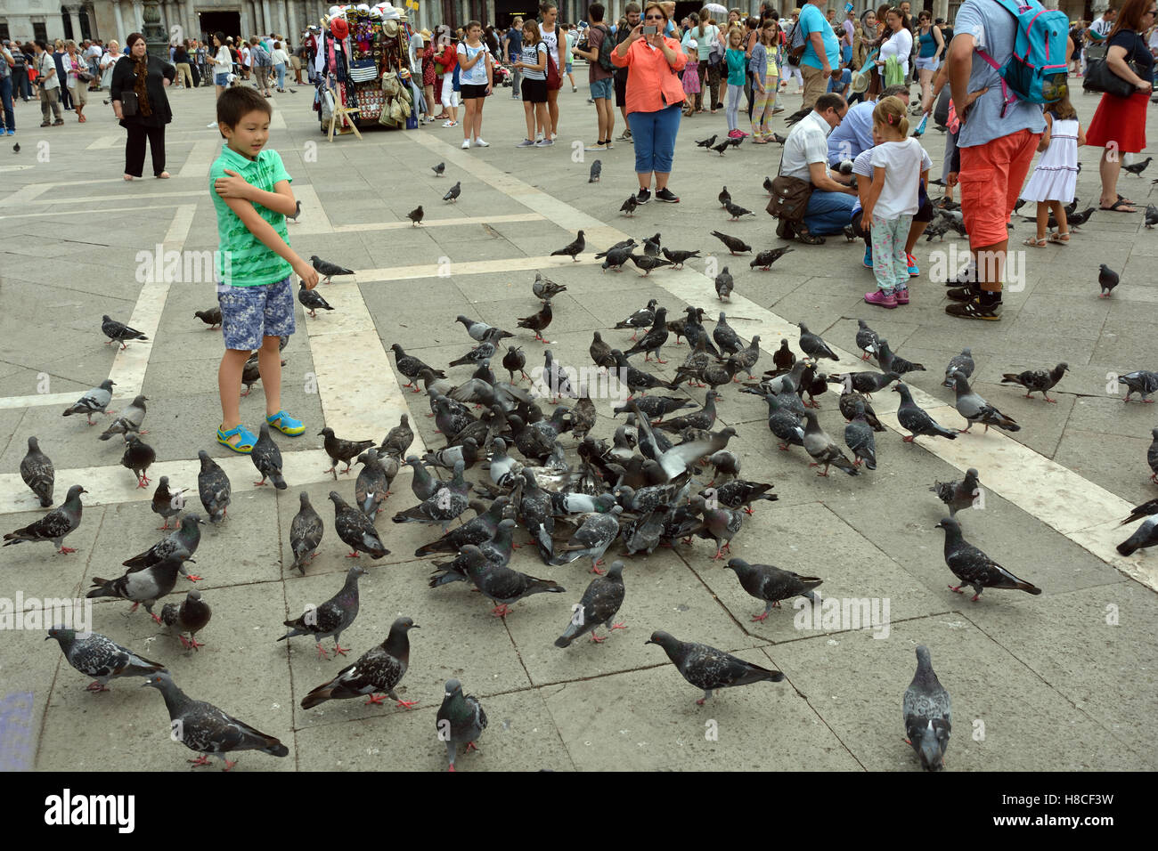 Pigeons and children on the Piazza San Marco of Venice in Italy Stock ...