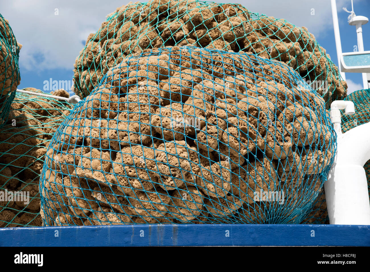Tarpon Springs Florida USA A 'spongers' boat used in the diving for ...
