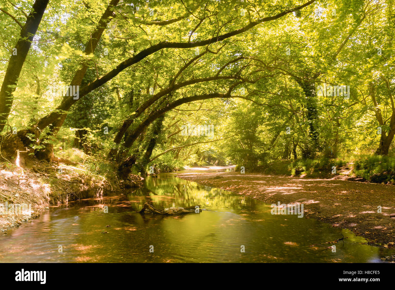 Euboea hi-res stock photography and images - Alamy