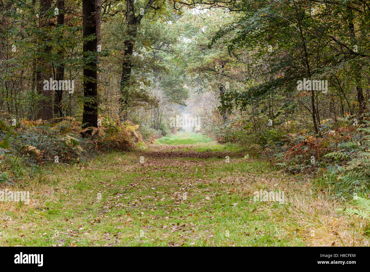 There is a footpath hi-res stock photography and images - Alamy