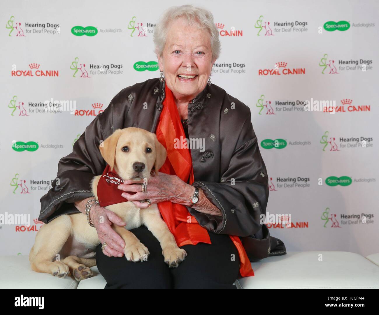 EDITORIAL USE ONLY Annette Crosbie with Kody, a hearing dog puppy, at ...