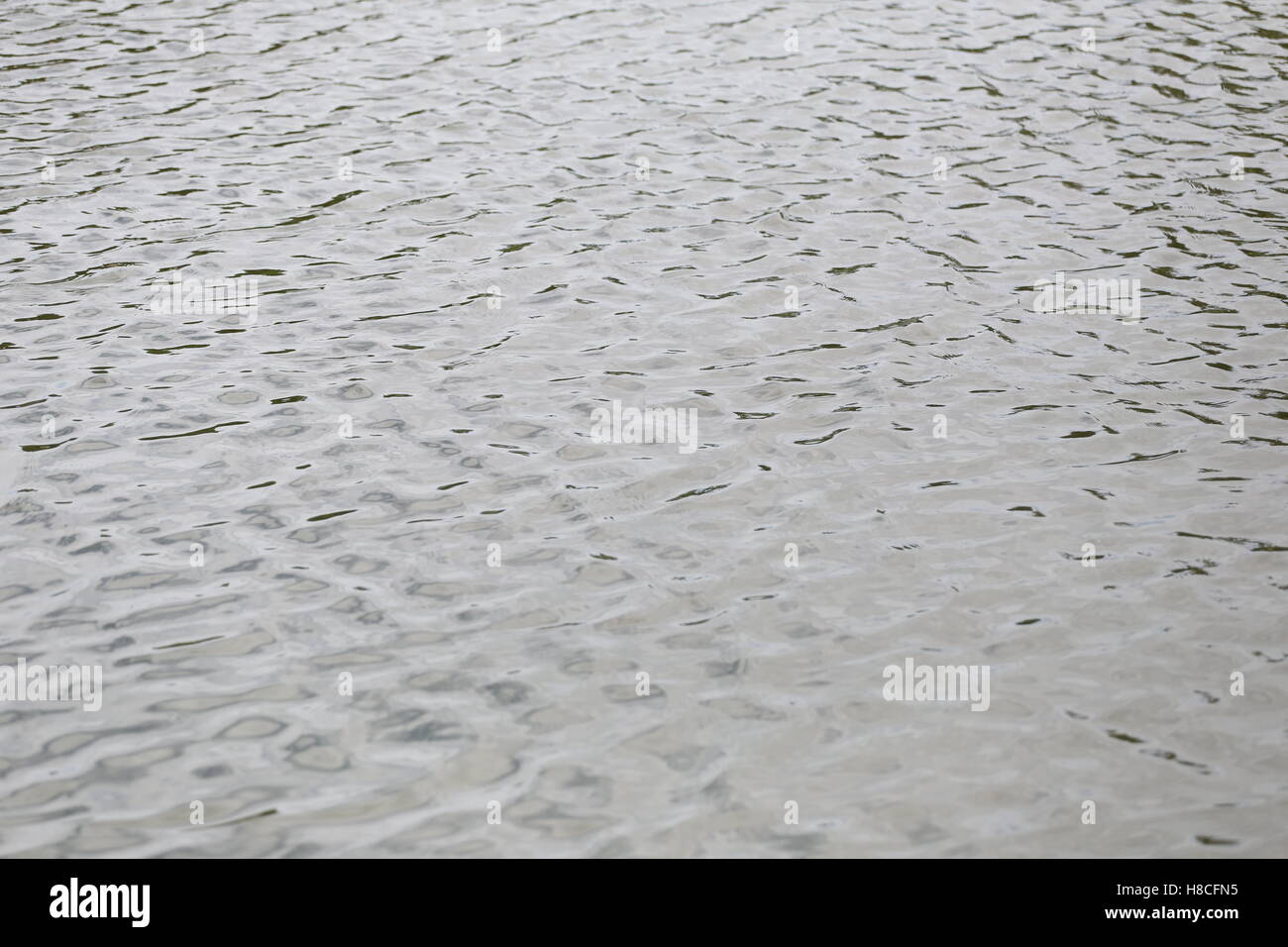 surface of the water in a pond ripple small for nature background Stock ...