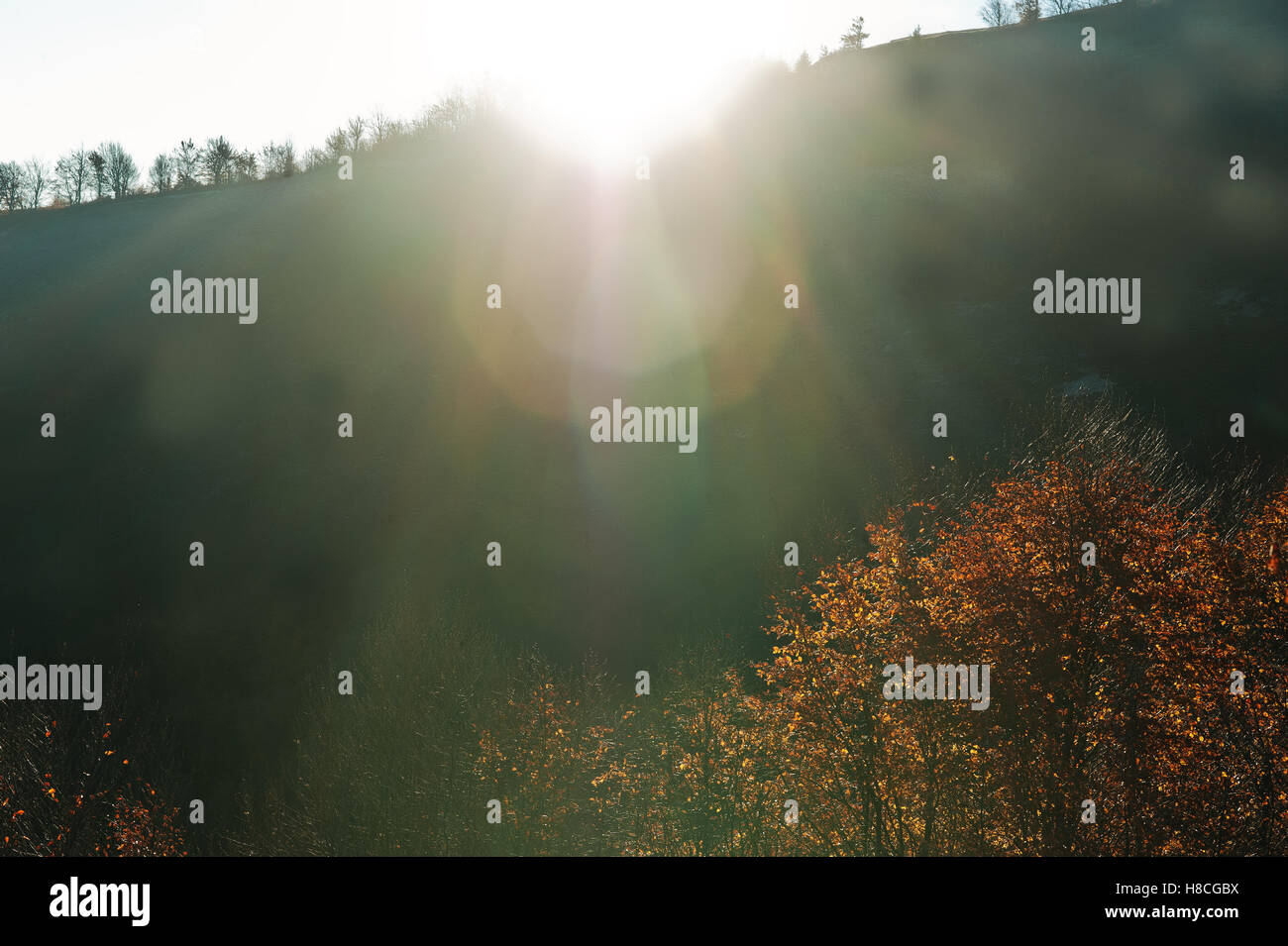 Warm autumn sun lights hi-res stock photography and images - Alamy