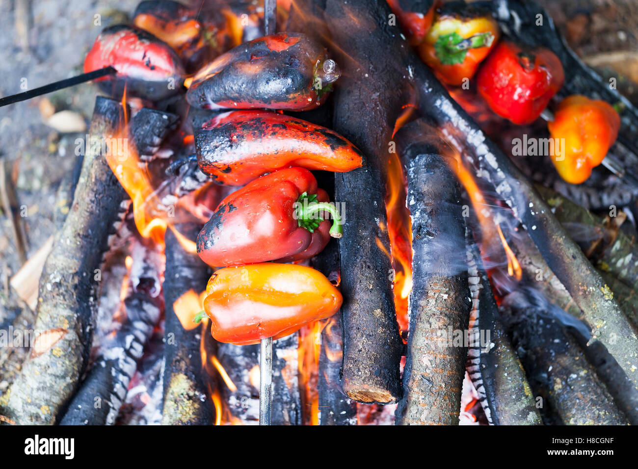 fried vegetables on a fire Stock Photo - Alamy
