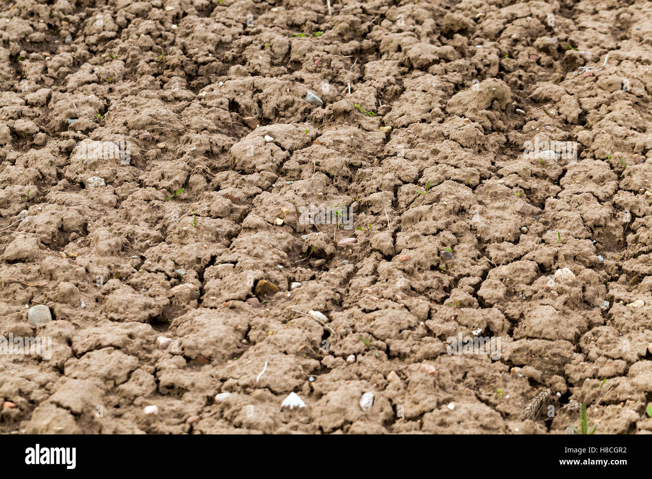 plowed agricultural field Stock Photo - Alamy