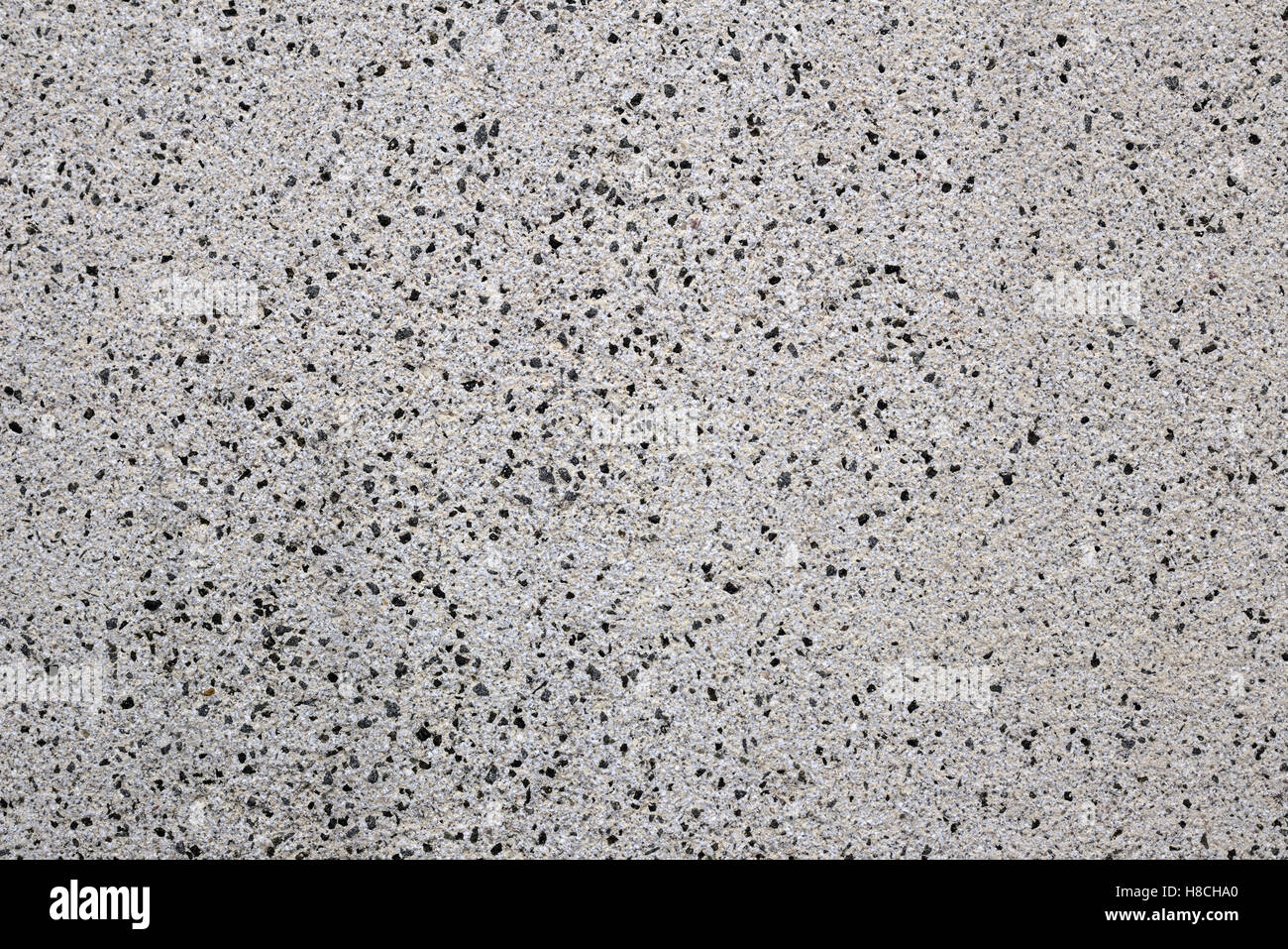 Macro shot of an architectural concrete texture Stock Photo - Alamy
