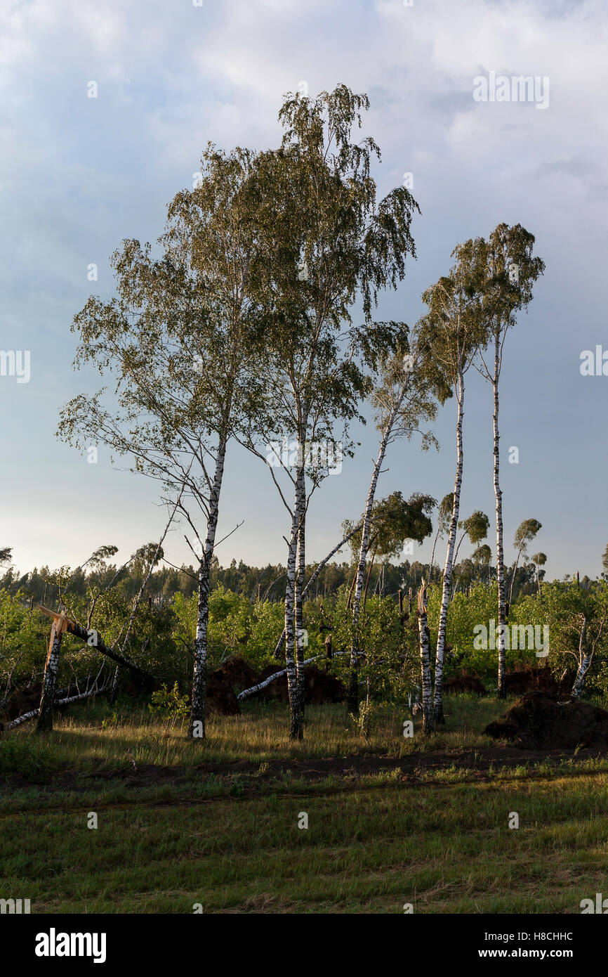 Cause a fracture hi-res stock photography and images - Alamy