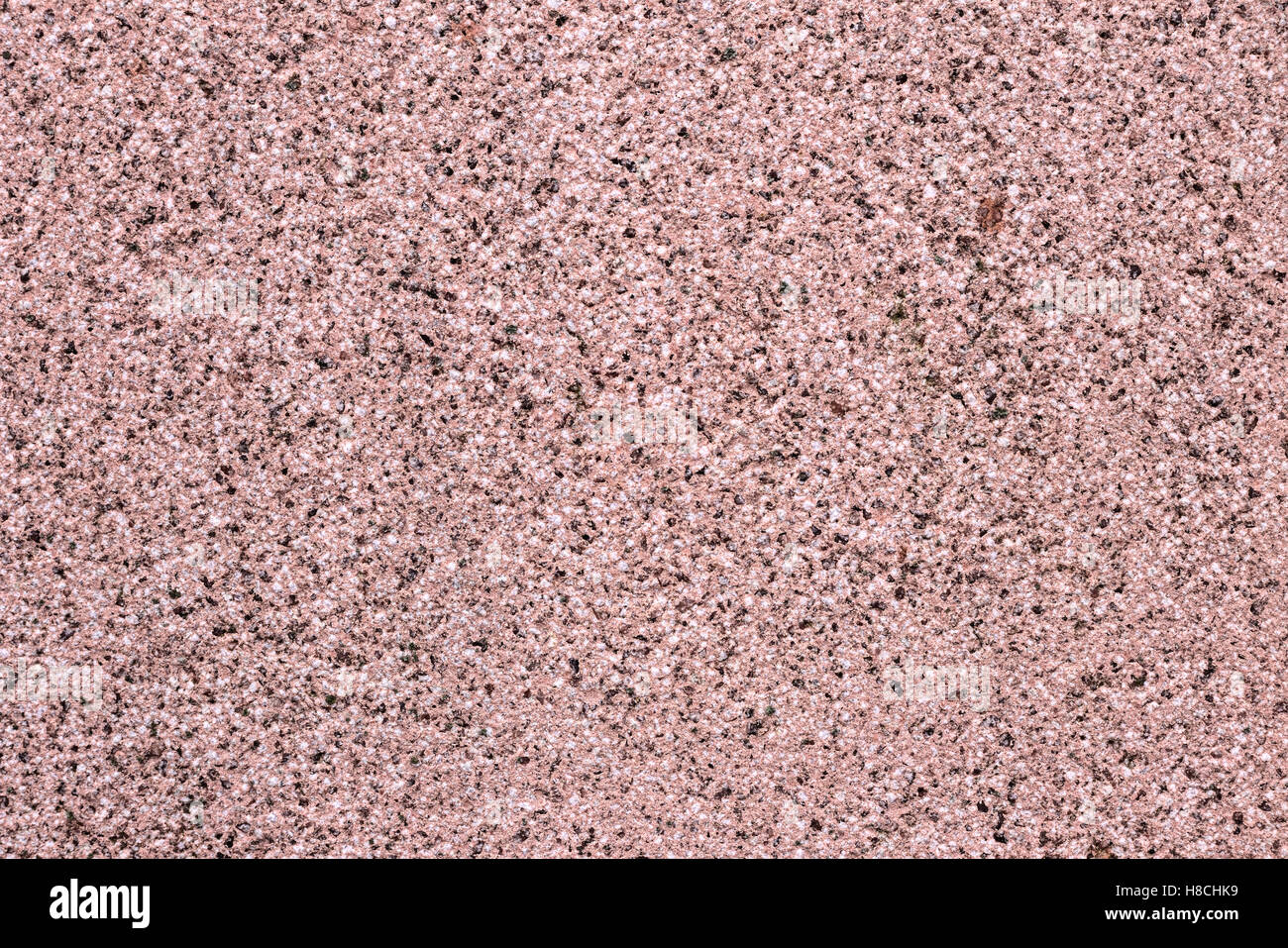 Macro shot of an architectural concrete texture Stock Photo - Alamy