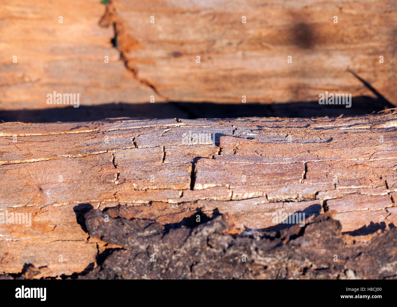 Old cracked wood Stock Photo - Alamy
