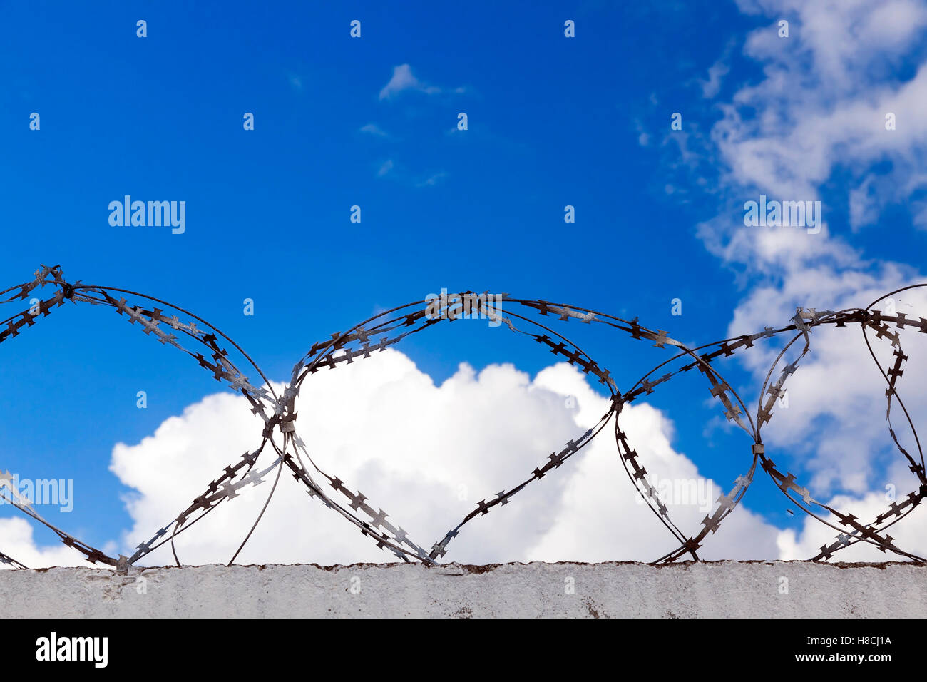 old barbed wire Stock Photo - Alamy