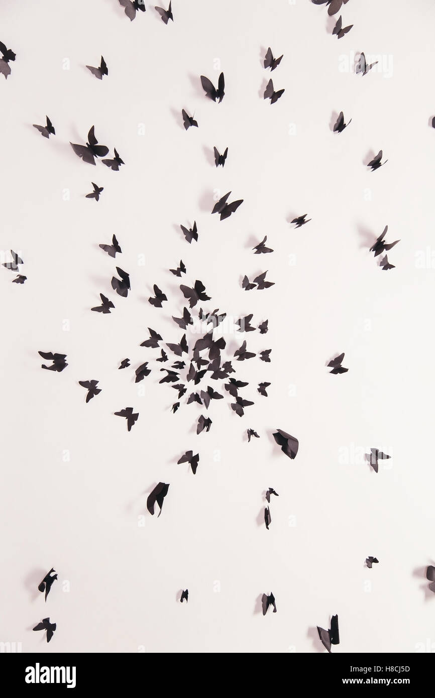 Black butterfly on a white background. Texture with butterflies. The ...