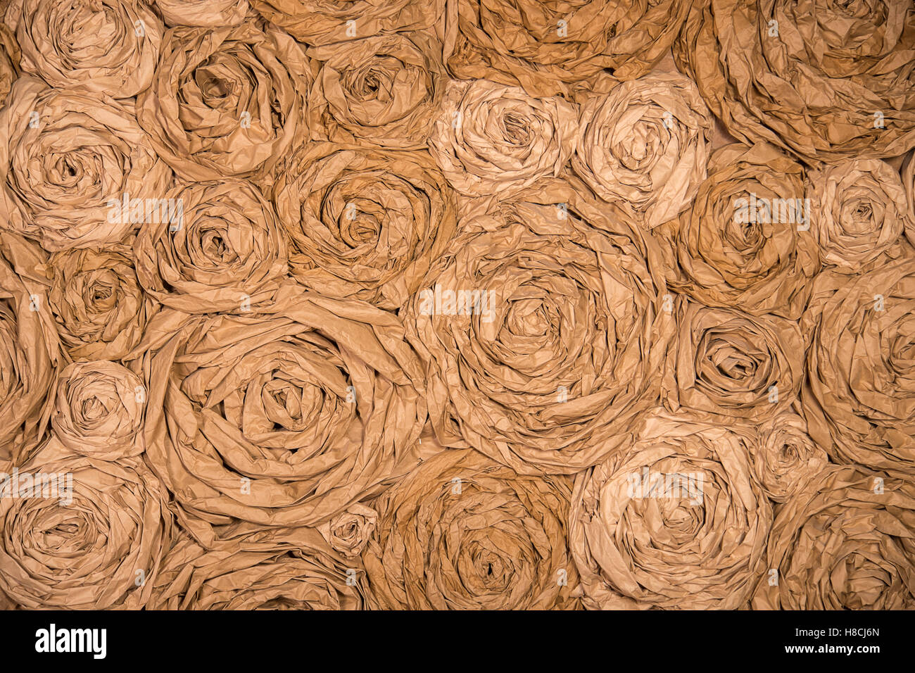 paper roses background Stock Photo - Alamy