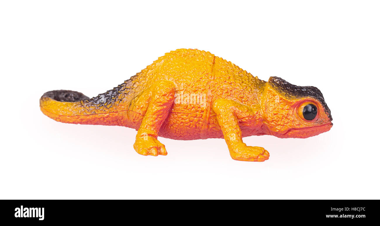 toy chameleon front view isolated on white background Stock Photo - Alamy