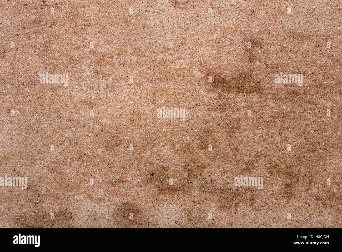 Macro shot of an architectural freestone texture Stock Photo - Alamy