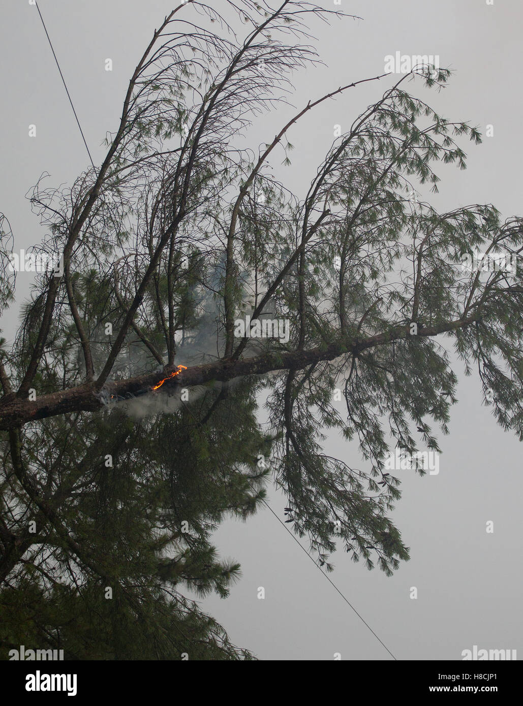 Down power line hi-res stock photography and images - Alamy