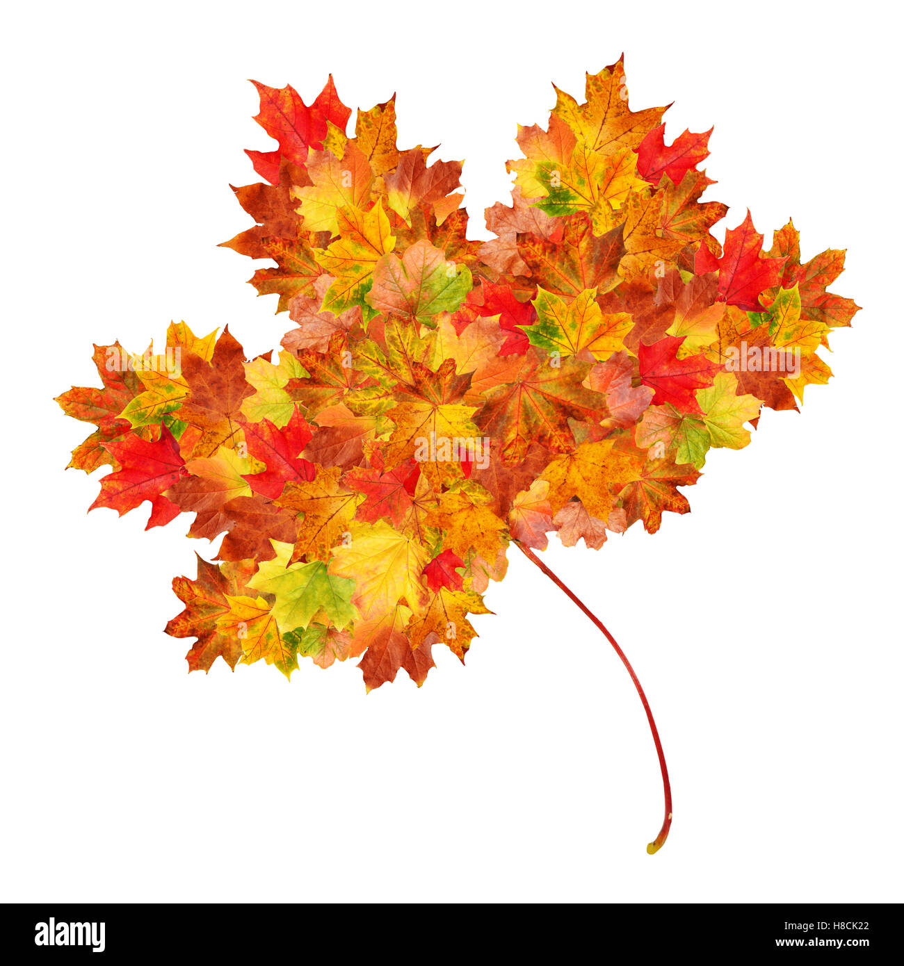 Autumn leaf shape made up of smaller autumn leaves on a white ...