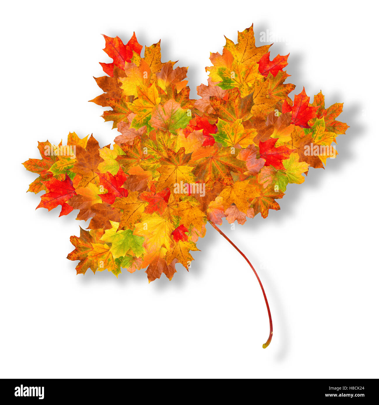 Autumn leaf shape made up of smaller autumn leaves on a white ...