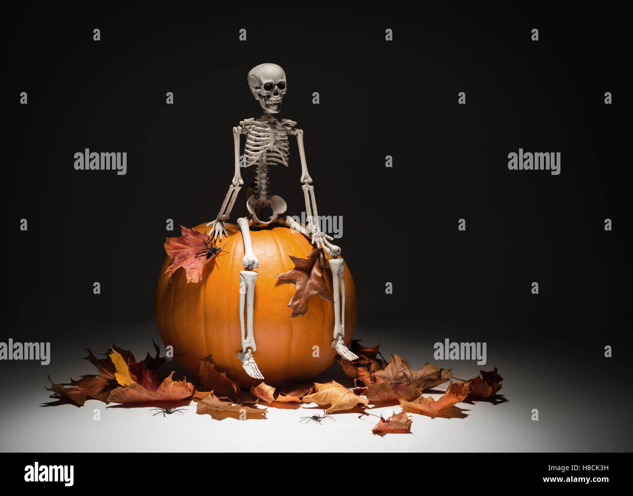 Skeleton Sitting On His Bones High Resolution Stock Photography and ...