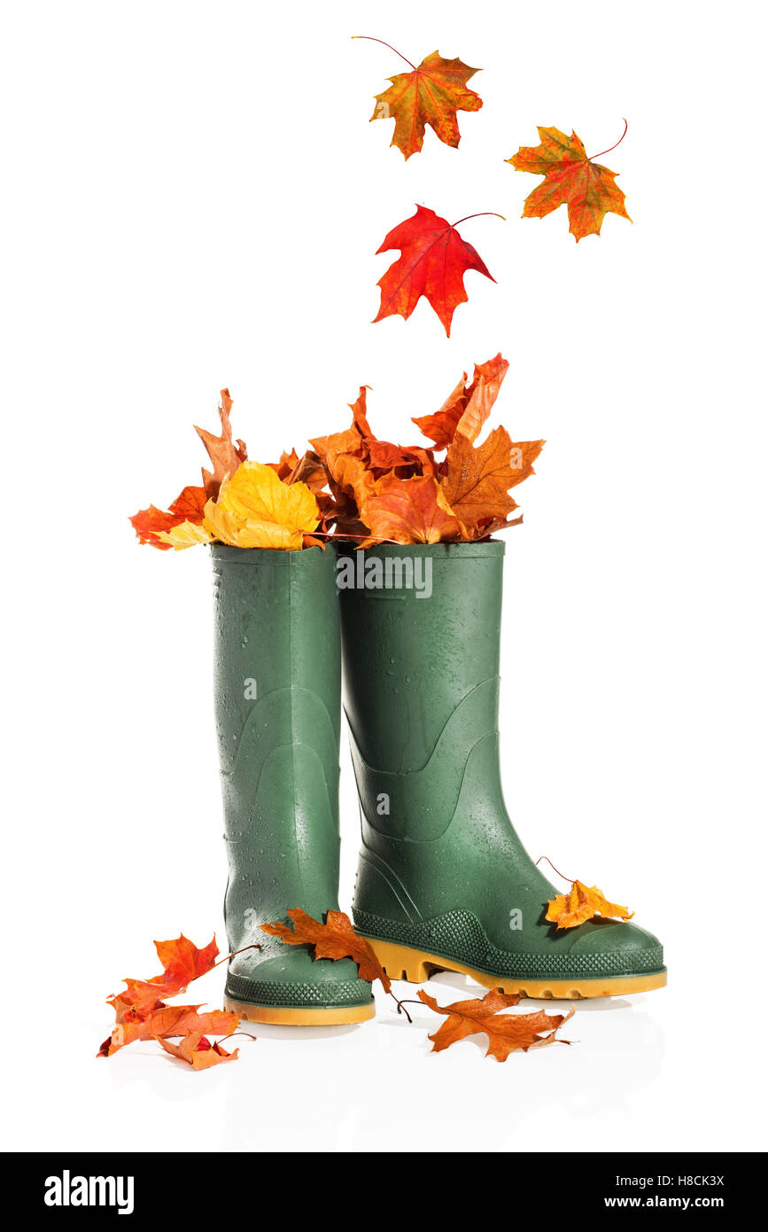 Autumn leaves in wellington boots on a white background Stock Photo - Alamy