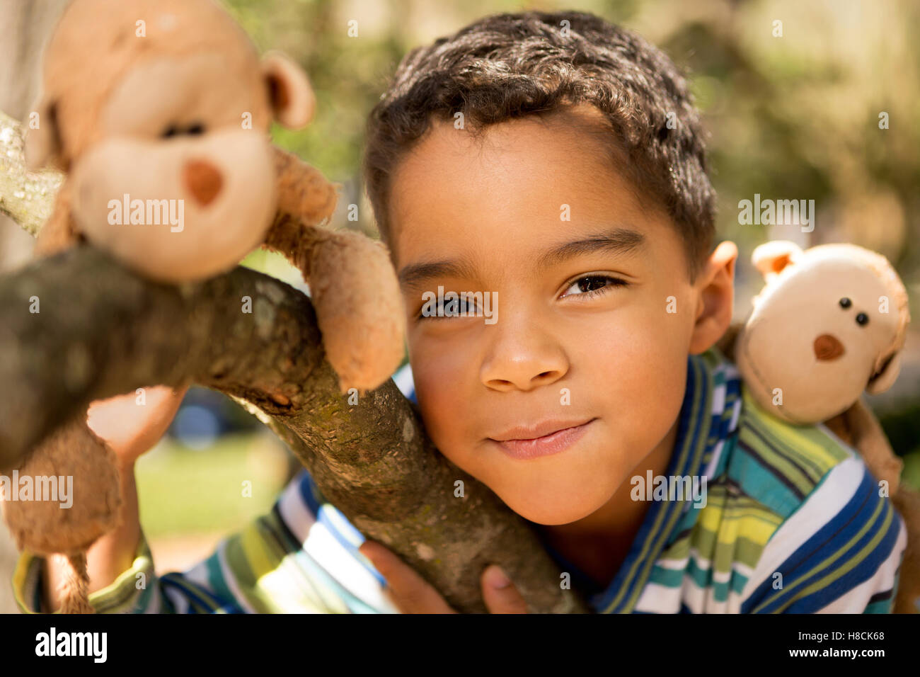Happy little boy playing in a tree Stock Photo - Alamy