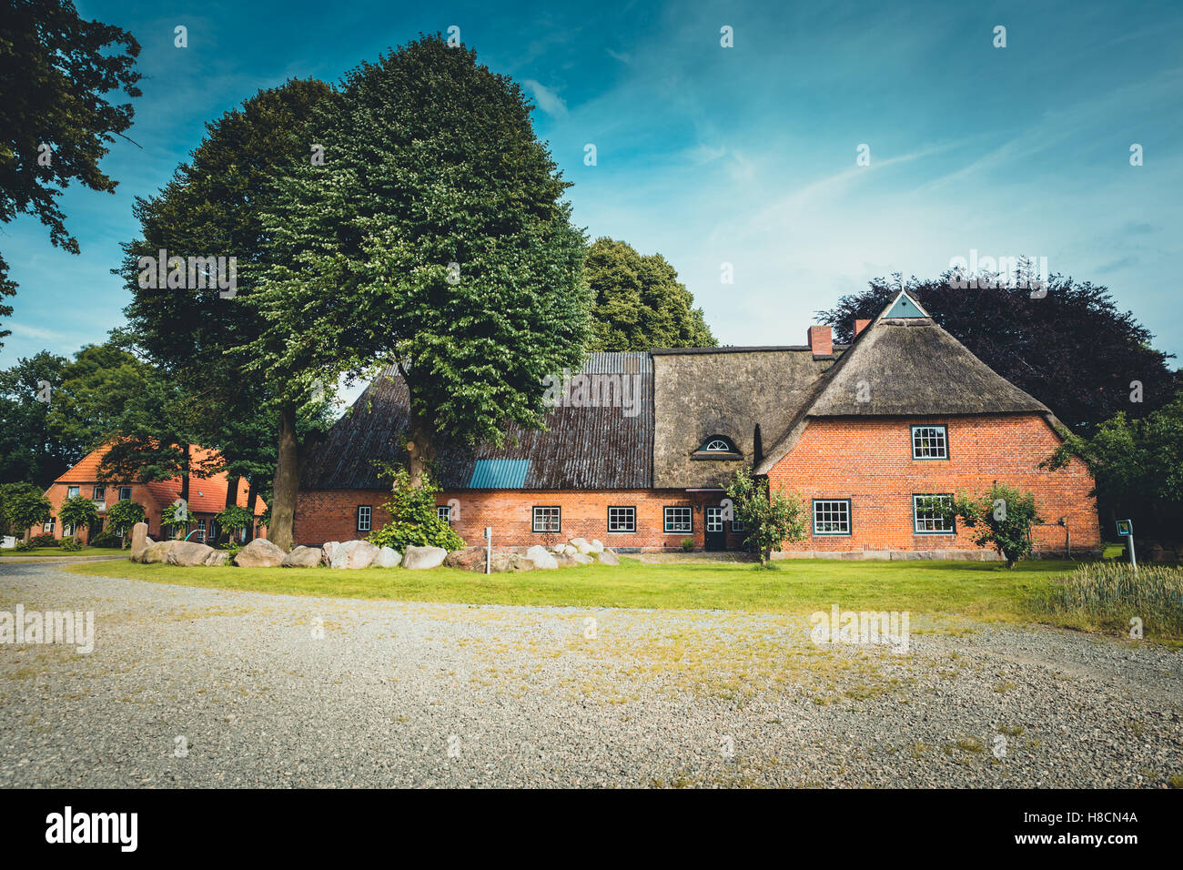 Raspberry farm Bovenau Steinwehr Stock Photo - Alamy