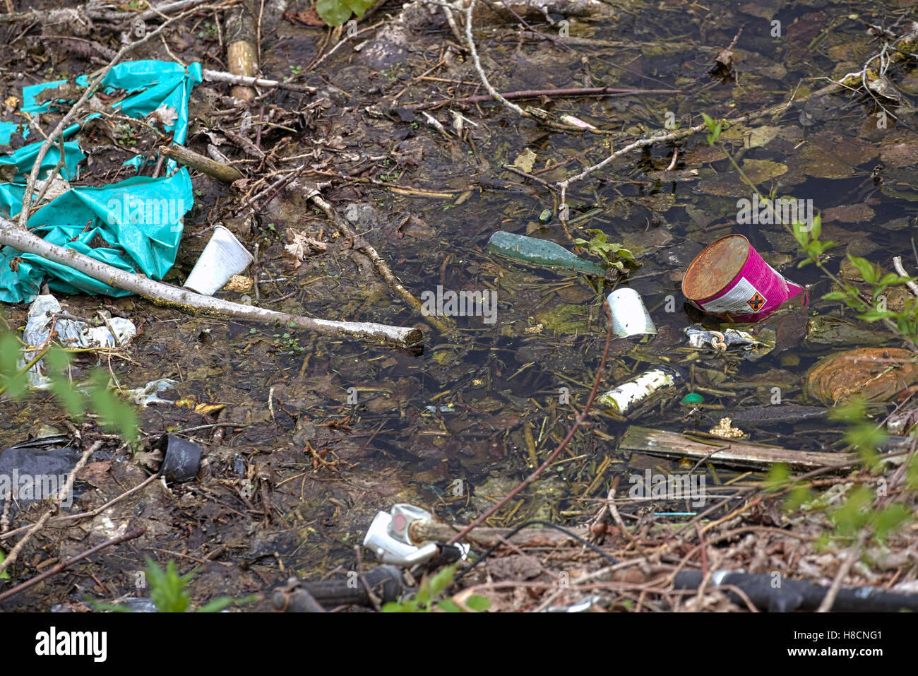 Rotting pond filled with waste and packaging Stock Photo - Alamy