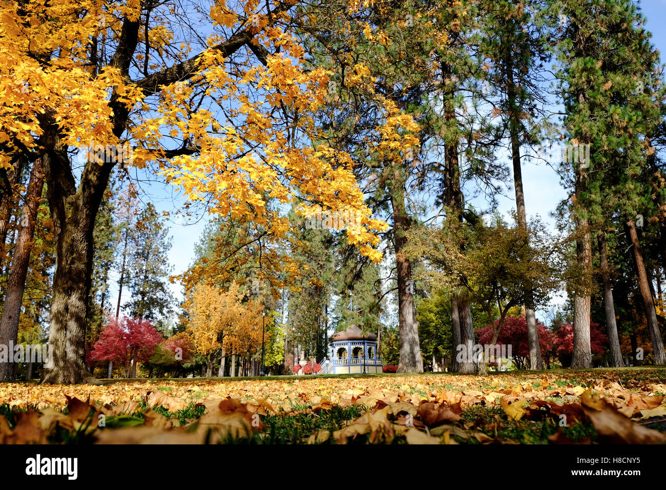 Autumn in Browns Edition, Spokane Washington - Coeur D'alene Park Stock ...