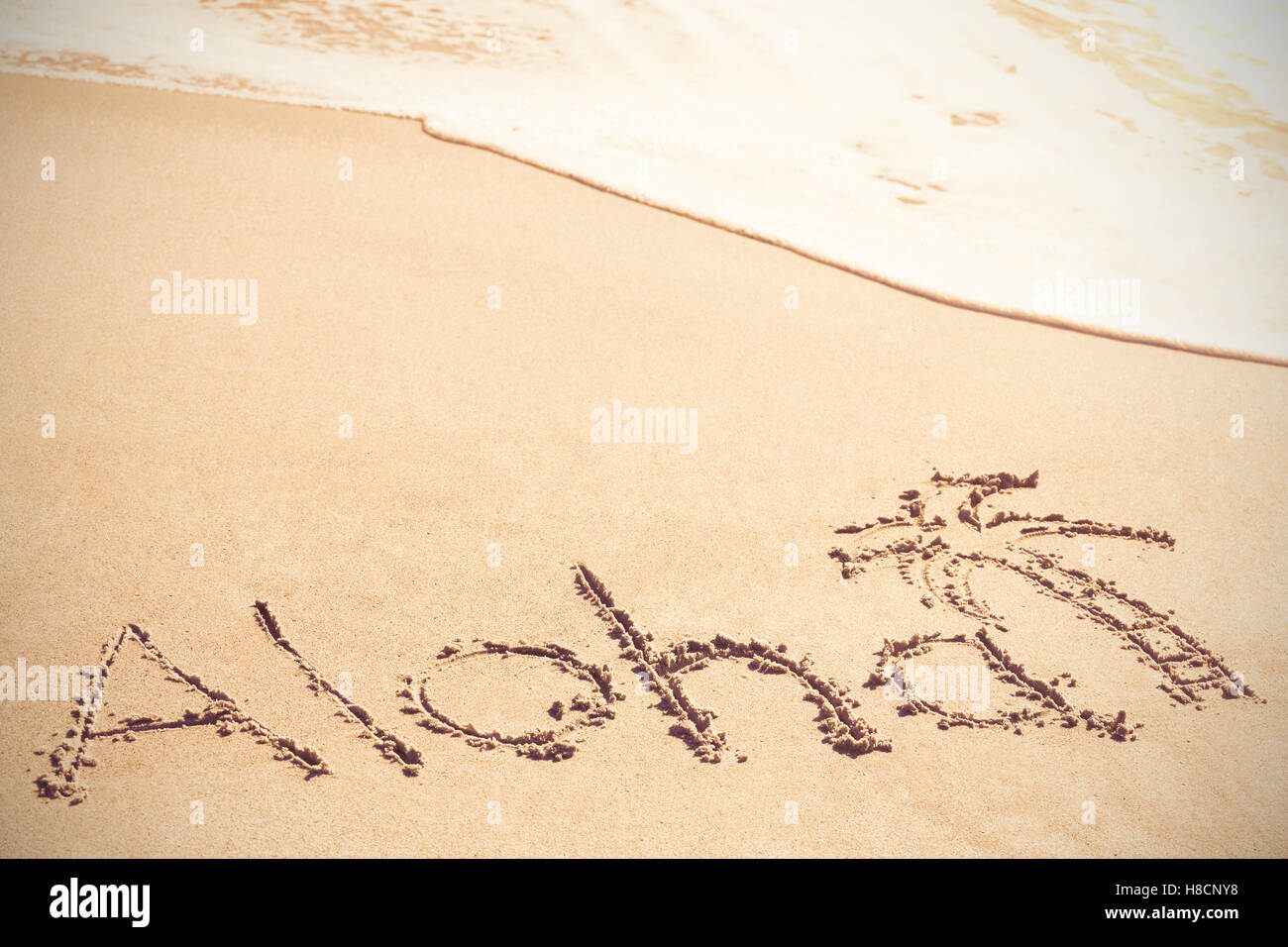 Aloha text written on sand with palm tree Stock Photo - Alamy