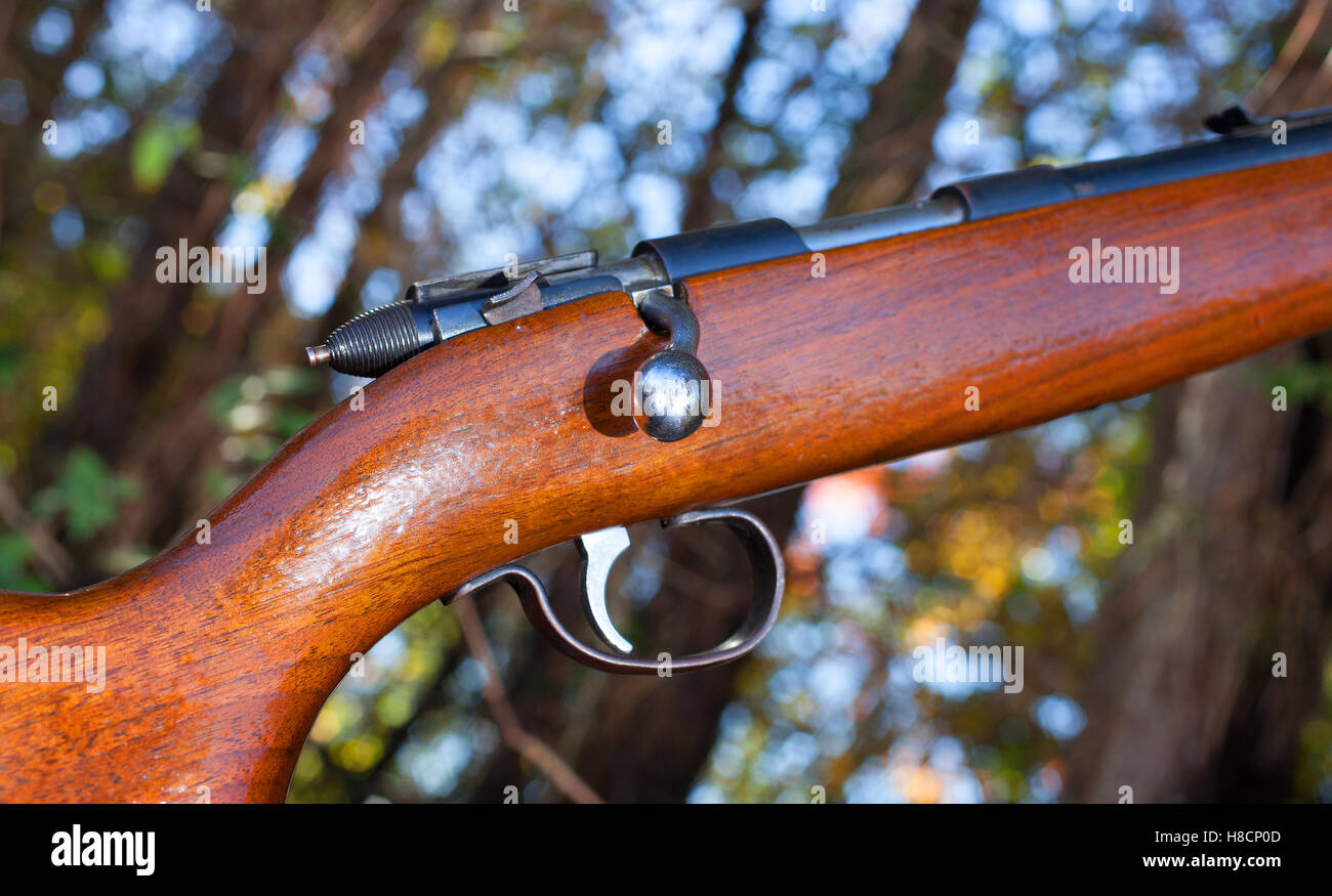 Single shot rimfire rifle that is in the woods Stock Photo - Alamy