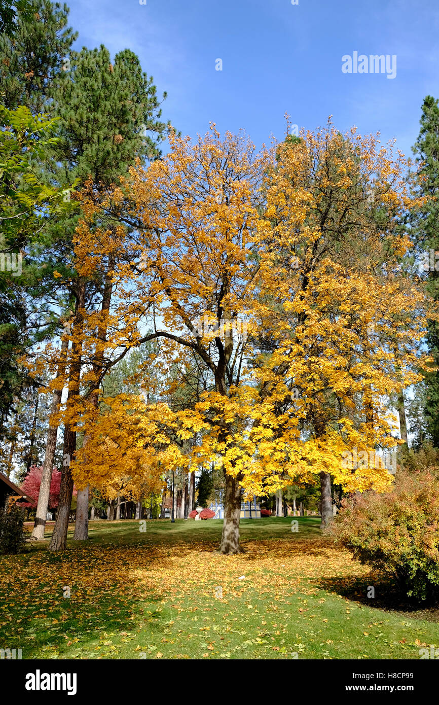 Spokane autumn hi-res stock photography and images - Alamy
